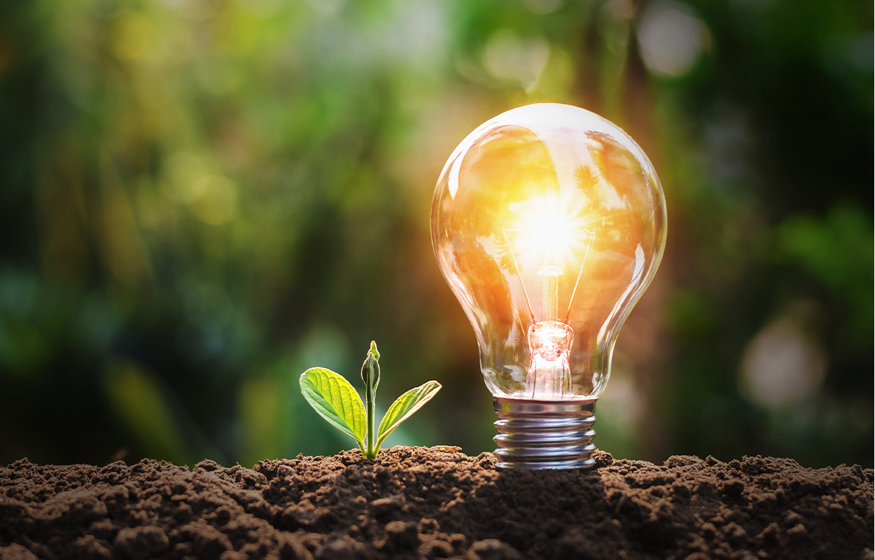 Why Are Vitoli Products More Effective? - Vitoli